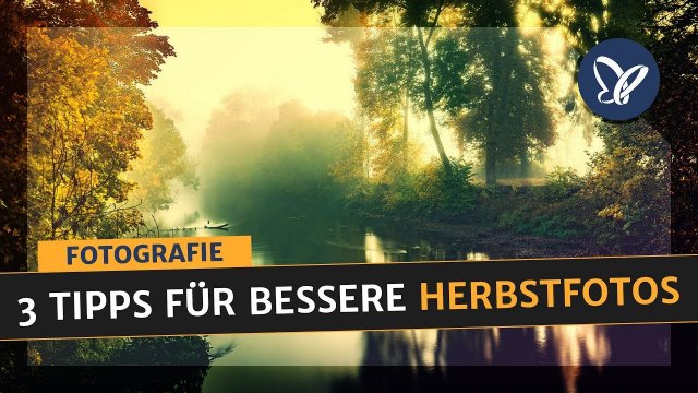 Herbst-Fotografie: Tipps für stimmungsvolle Herbstfotos!